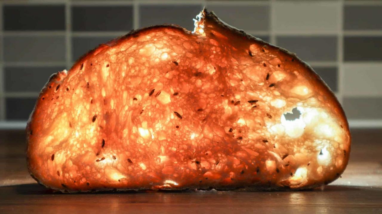 High Hydration Sourdough Bread Guide - ChainBaker