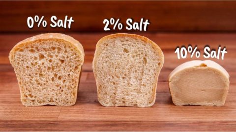This is How Salt Affects Bread Dough - ChainBaker