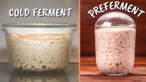 Cold Fermentation vs Pre-ferment I Which is Better? - ChainBaker