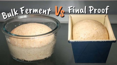 Cold Bulk Fermentation vs Cold Proofing Compared I Which is Better ...