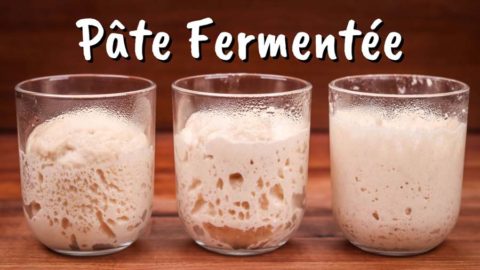 How to Use Pâte Fermentée (Old Dough) | Detailed Guide - ChainBaker