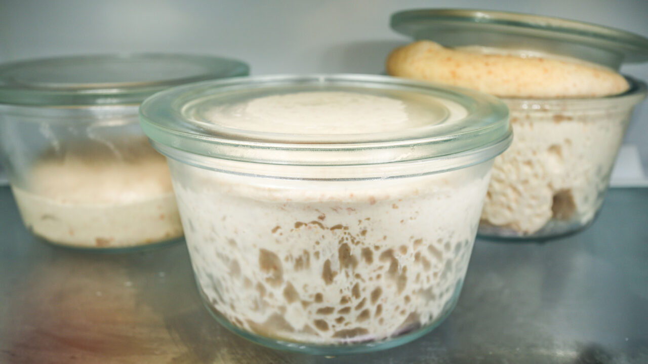 How Important Is Dough Temperature for Cold Fermentation? - ChainBaker